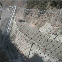 GPS2 Rockfall Netting